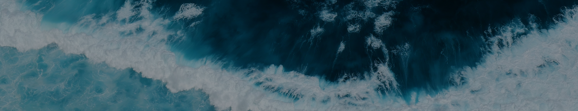 What We Do | CareTrust REIT